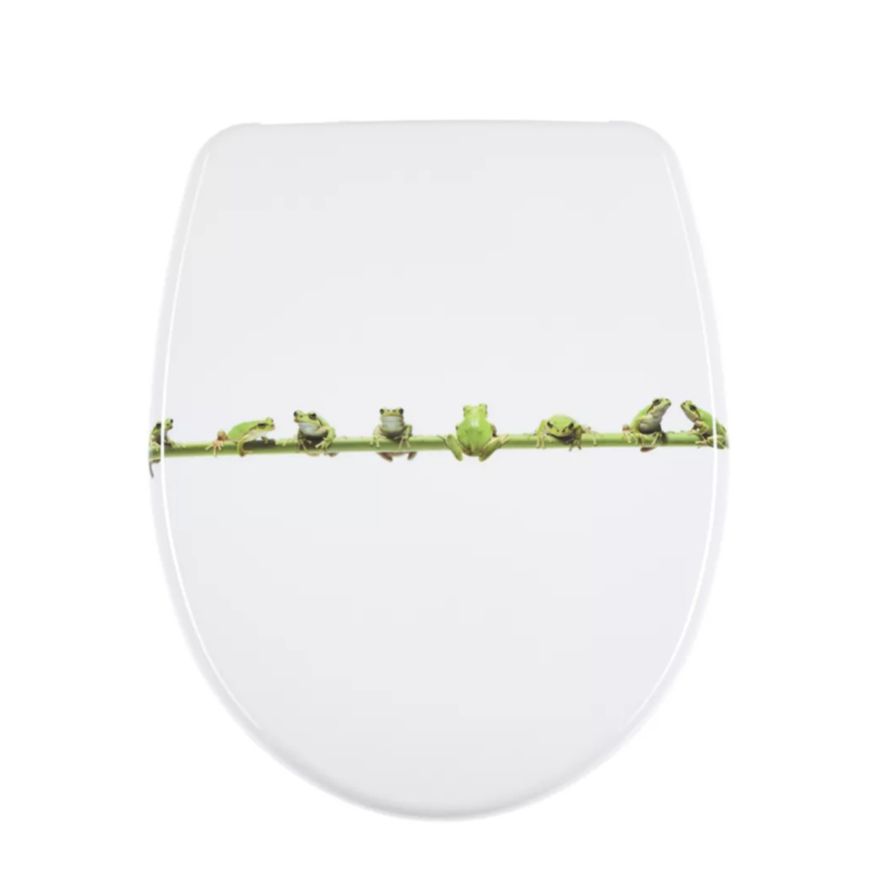 diaqua Slow Down WC Sitz Toiletten Deckel Deko Frog