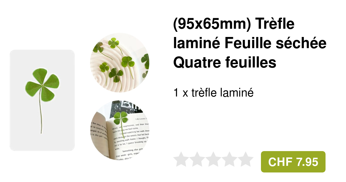 (95x65mm) Trèfle laminé Feuille séchée