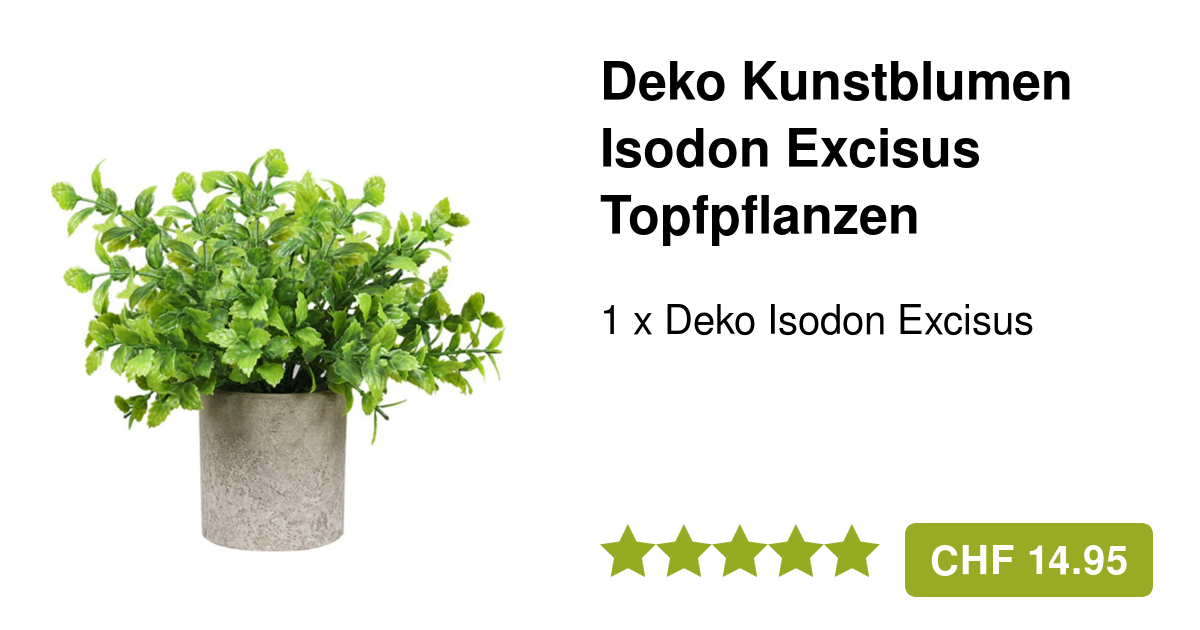 Deko Kunstblumen Isodon Excisus Topfpflanzen